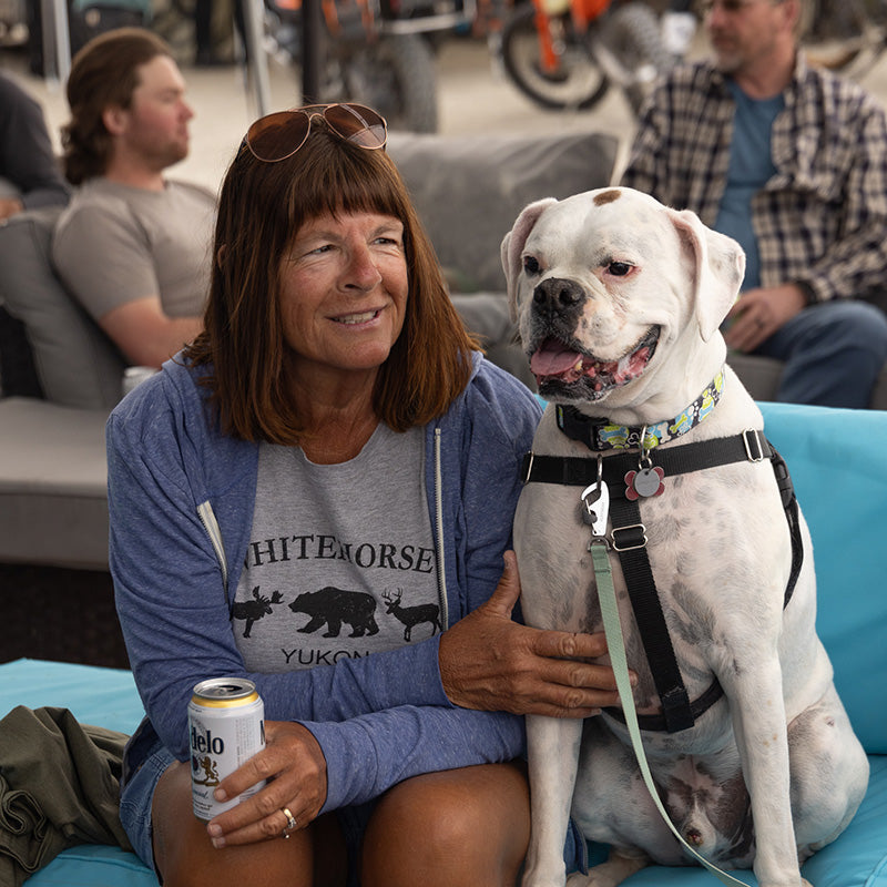 Dusty Lizard - Mosko Moto